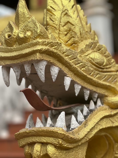 Playing and Poetry In Southeast Asia ⋆ Patricia J. Franz