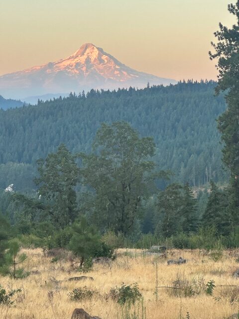 Finding Our Way ⋆ Patricia J. Franz